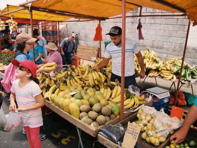 What is Tico and What does Tico Mean - Tico Lingo Spanish School in ...